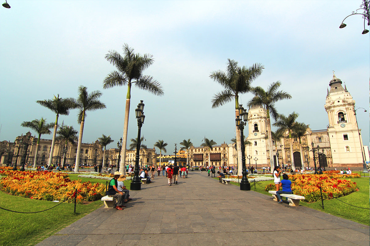 tour mirabus – MIRABUS